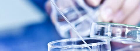 Organisation - IWW Wasserforschung